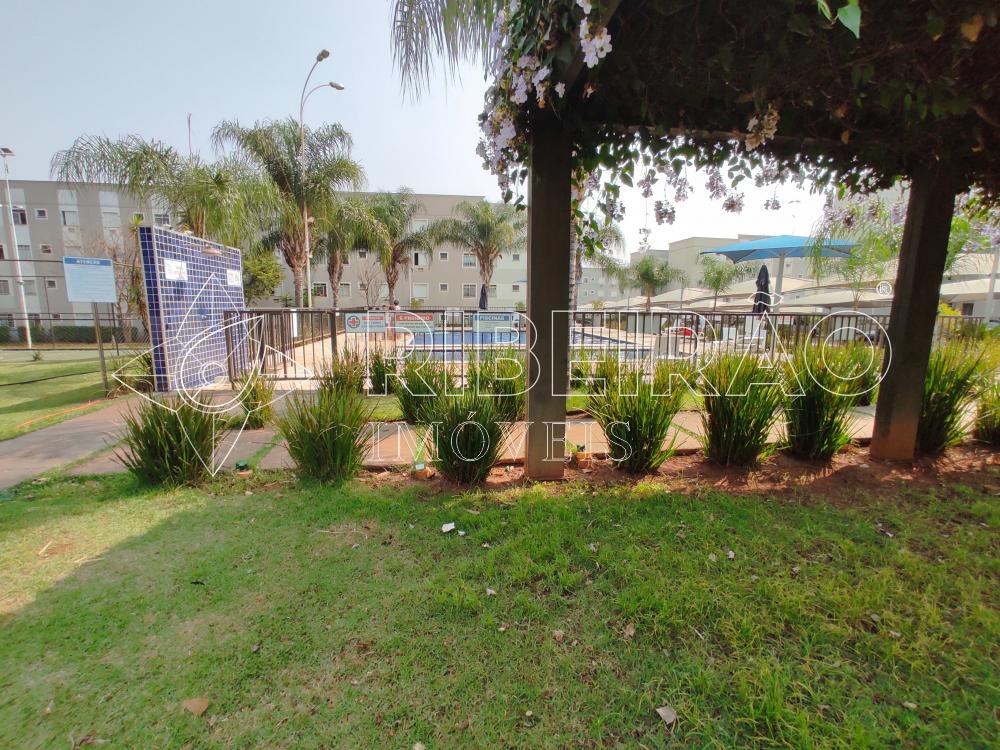 próximo a Jaú Serve Supermercados, Aeroporto Estadual de Ribeirão Preto ...